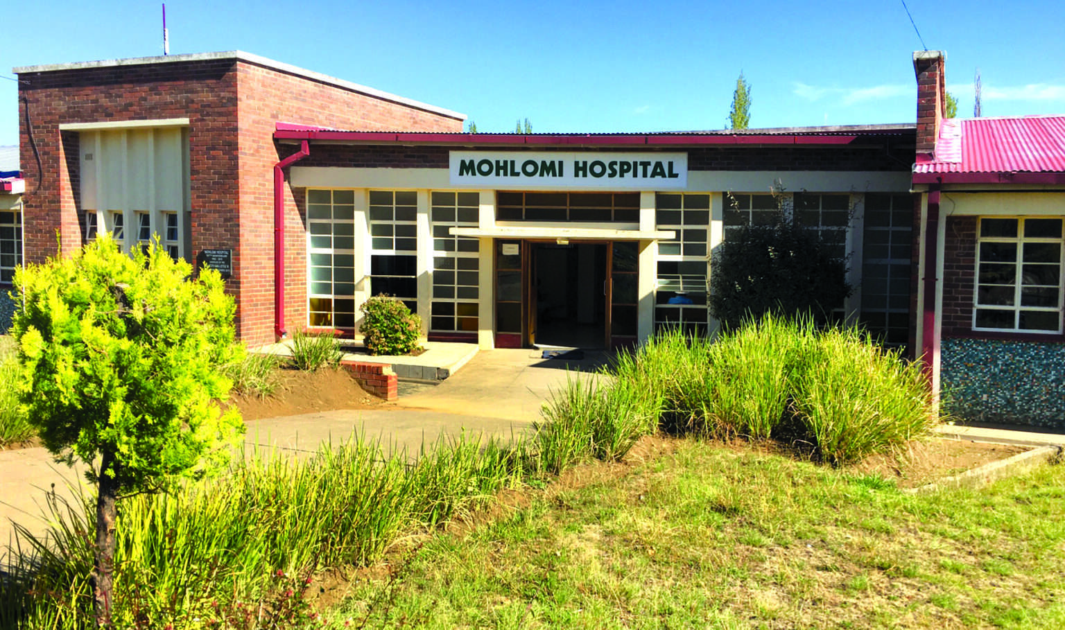 “I Ate Pages from My Passport After Being Denied Food at Mohlomi Hospital” – Uncensored news